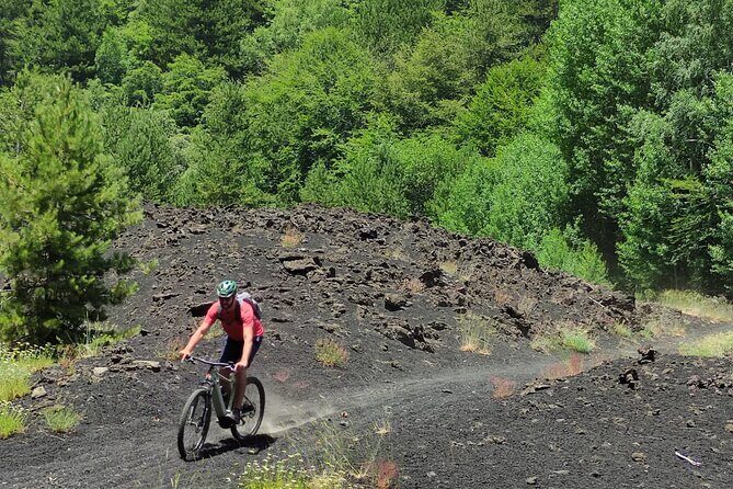 Mount Etna E-bike half-day tour - Discovering Mount Etna on an E-bike