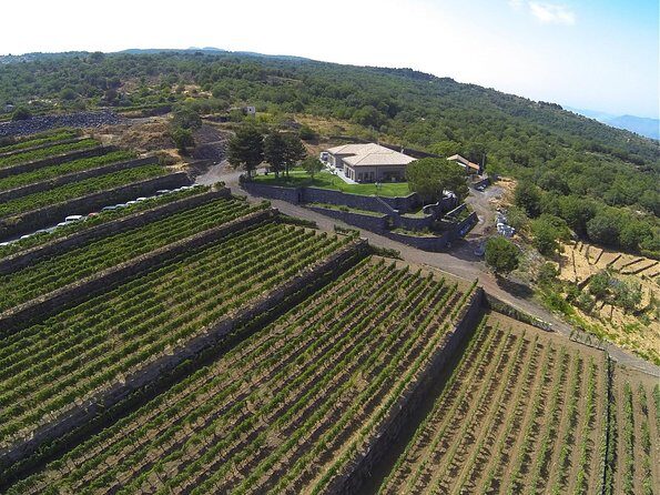 Mount Etna, Lunch in a Winery and Taormina Private Day-Trip from Messina - Final Thoughts