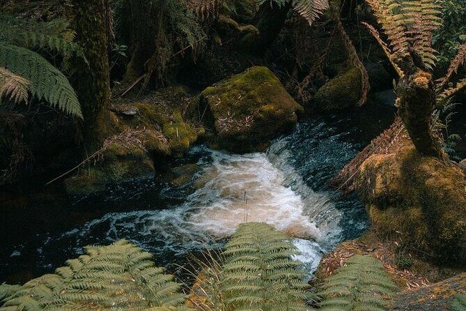 Mount Field And The Derwent Tasting Trail - FAQ