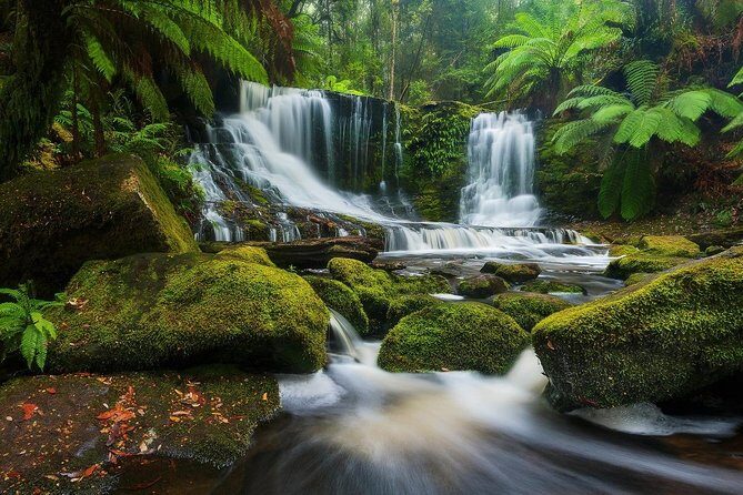 Mount Field Day Tour Private Charter Service ( 3 days in advance - Is This Tour Right for You?