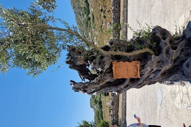 Mount Juktas, the observatory of CRETE ZEUS face mountain - Who’s This Tour Best For?
