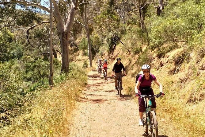 Mount Lofty Descent Bike Tour from Adelaide - The Value for Money