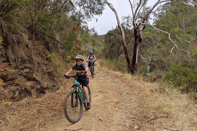 Mount Lofty Descent Bike Tour from Adelaide - FAQ: Practical Questions Answered