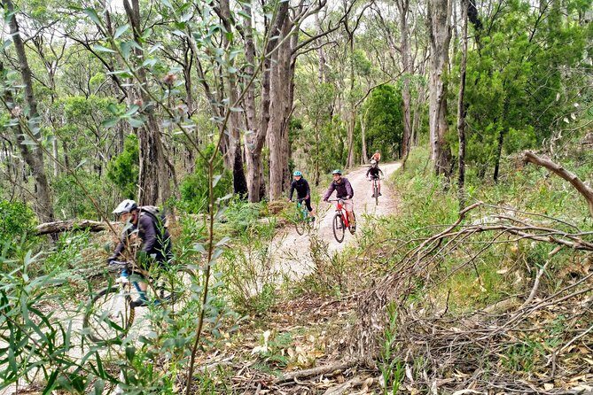 Mount Lofty Descent Bike Tour from Adelaide - Final Thoughts