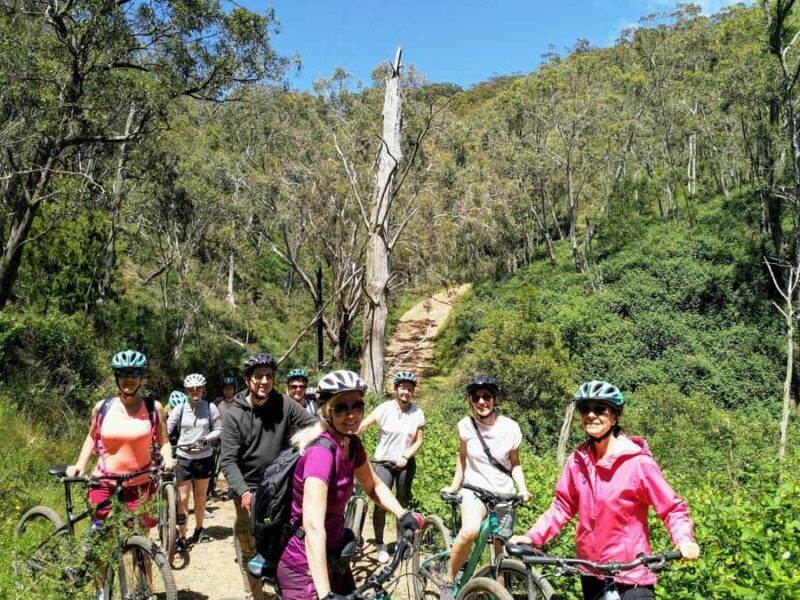 Mount Lofty Downhill Bike Tour & Cleland Wildlife Park Visit - Final Thoughts