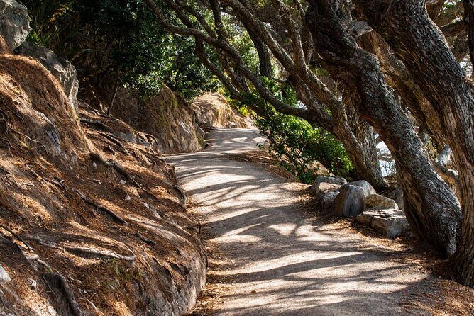 Mount Maunganui, Tauranga Day Tour from Auckland - Exploring Tauranga’s Vibrant Waterfront