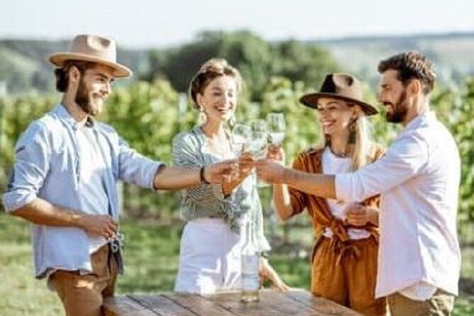 Mount Tamborine Deluxe Wine Tasting with Two Course Lunch - Key Points