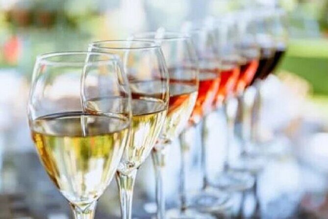 Mount Tamborine Deluxe Wine Tasting with Two Course Lunch - Exploring the Itinerary: A Step-by-Step Journey