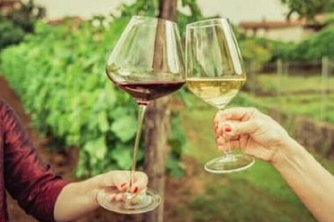 Mount Tamborine Deluxe Wine Tasting with Two Course Lunch - FAQ