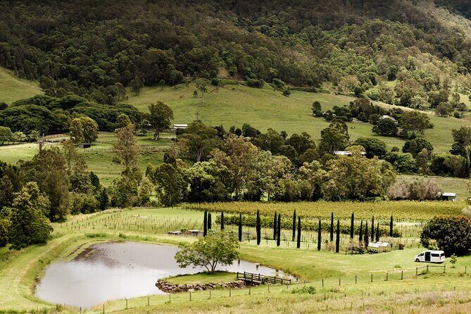 Mount Tamborine Winery Tour with Gourmet lunch - Key Points