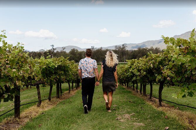 Mount Tamborine Winery Tour with Gourmet lunch - Final Thoughts: Is It Worth It?