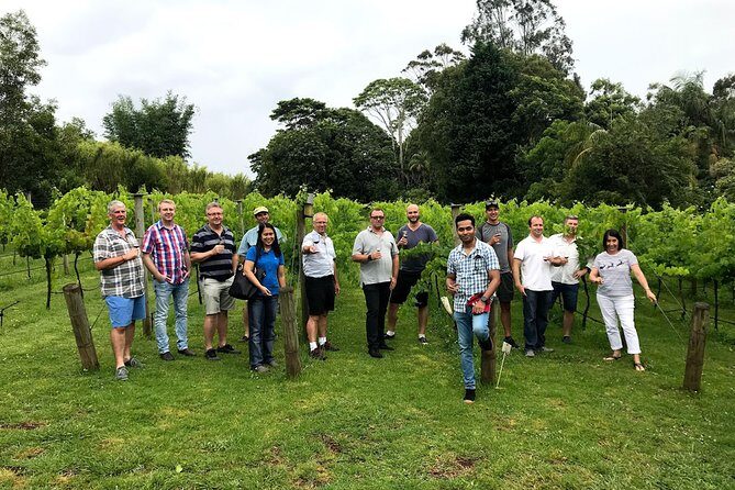 Mount Tamborine Winery Tour with Gourmet lunch - FAQ