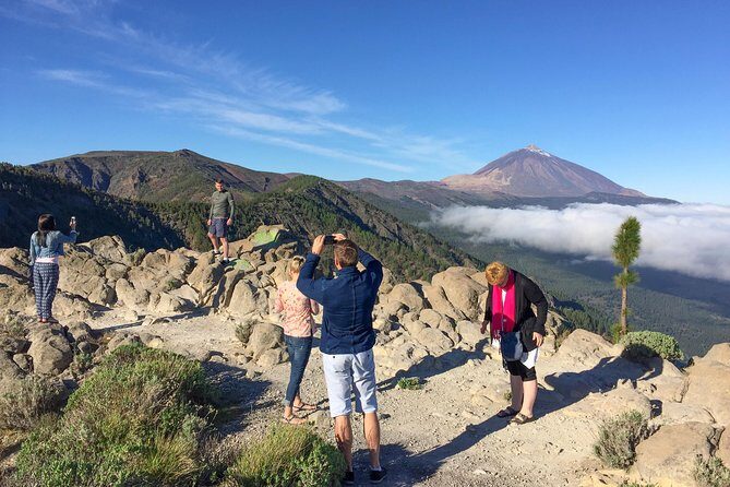 Mount Teide and Tenerife North with Food & Wine Tasting Private Tour - Starting Point: A Day of Contrasts Begins