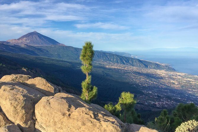 Mount Teide and Tenerife North with Food & Wine Tasting Private Tour - Wine & Food Experience at Bodegas Monje
