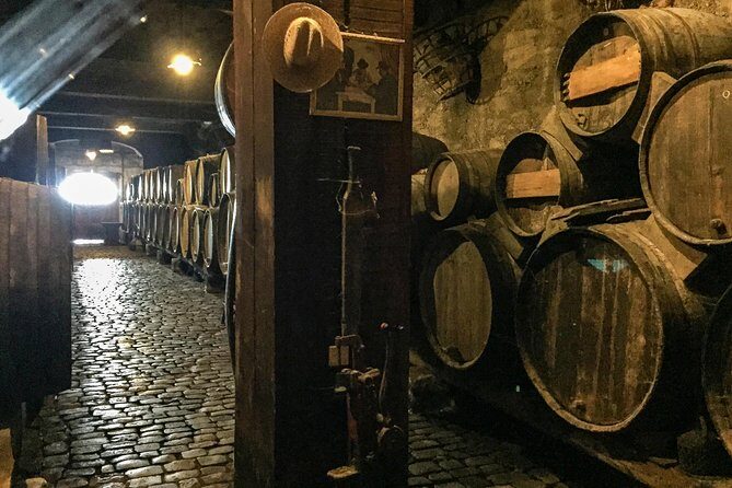 Mount Teide and Tenerife North with Food & Wine Tasting Private Tour - What’s Included & What’s Not