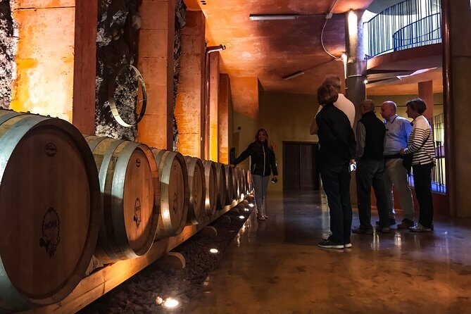 Mount Teide and Tenerife North with Food & Wine Tasting Private Tour - Final Thoughts: Who Will Love This Tour?