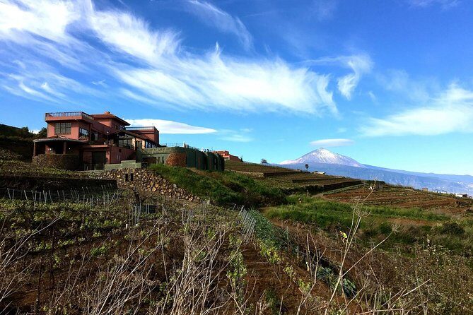 Mount Teide and Tenerife North with Food & Wine Tasting Private Tour - FAQs