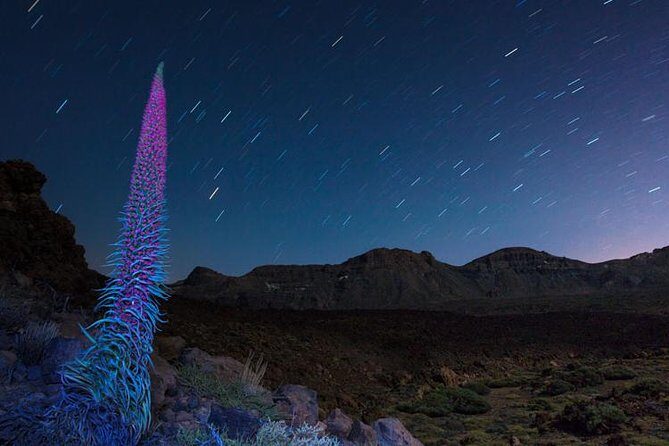 Mount Teide Night Tour: Stargazing, Dinner and Hotel Pick up - A Deep Dive Into the Mount Teide Night Tour Experience