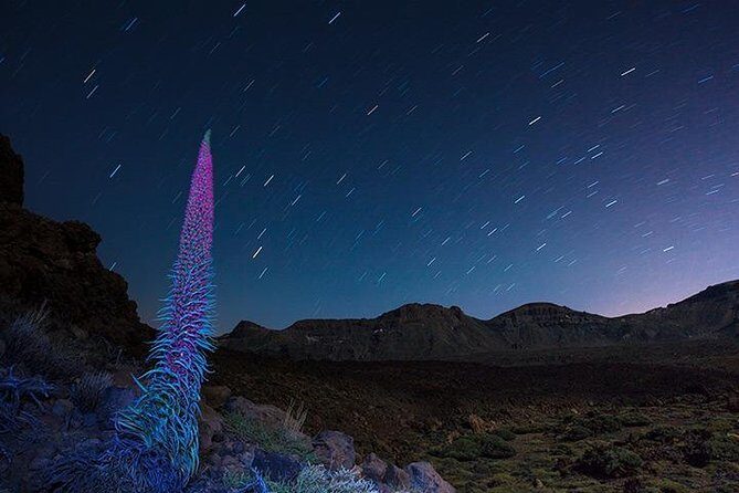 Mount Teide Night Tour: Stargazing, Dinner and Hotel Pick up - Frequently Asked Questions (FAQs)