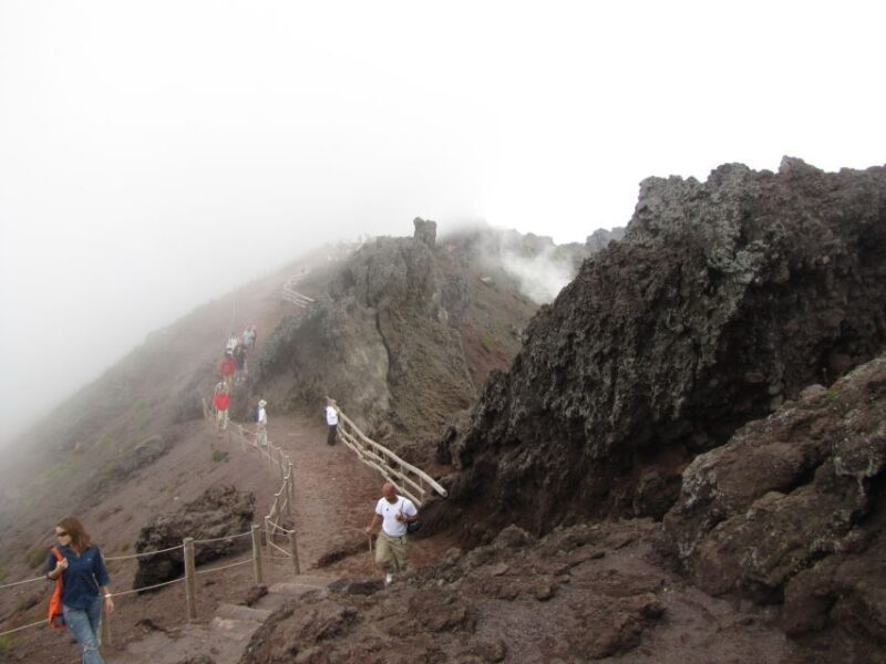 Mount Vesuvius 4-Hour Volcano Tour with Wine Tasting - Who Should Book This Tour?