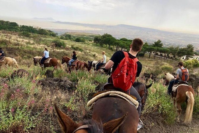 Mount Vesuvius Guided Horse Riding Tour with Sample Wine - Practical Tips for Making the Most of Your Experience