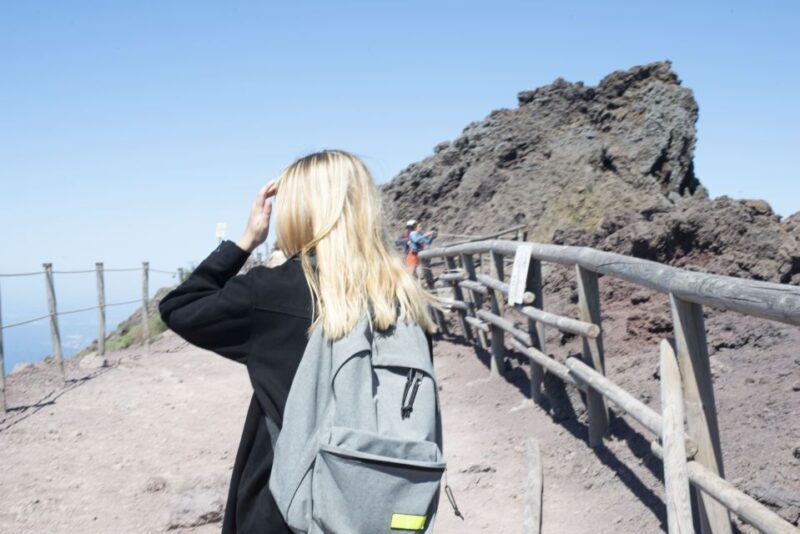 Mount Vesuvius: Skip-the-Line Ticket and Smart Digital Guide - Key Points