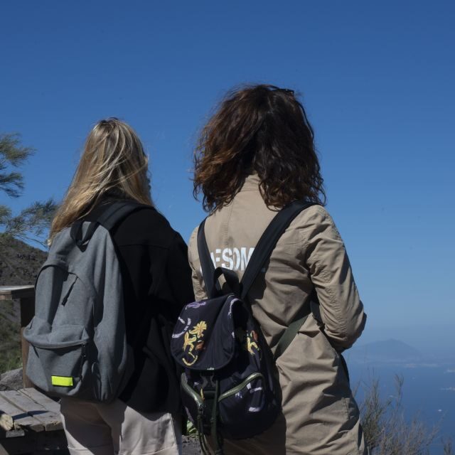 Mount Vesuvius: Skip-the-Line Ticket and Smart Digital Guide - Final Thoughts: Is It Worth It?