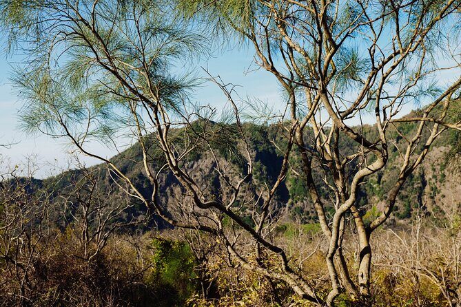 Mount Vesuvius Skip the Line Ticket + Multilingual Audio Guide - Why This Tour Works Well