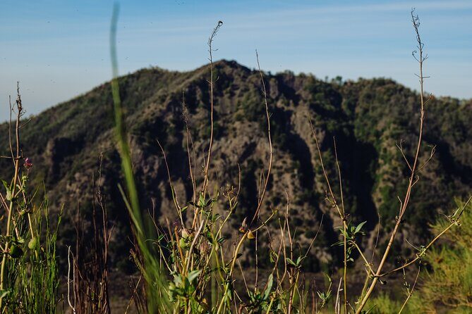 Mount Vesuvius Skip the Line Ticket + Multilingual Audio Guide - Who Is This Tour Best For?