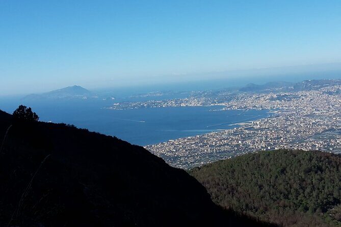Mount Vesuvius tour by bus and ticket included from Ercolano - Frequently Asked Questions (FAQs)