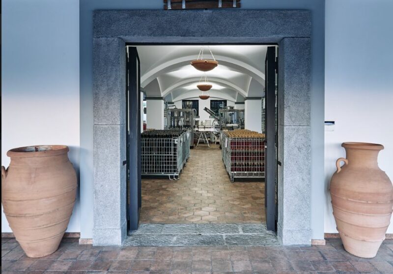 Mount Vesuvius: Vineyard Tour with Wine Tasting and Lunch - Who Should Consider This Tour?