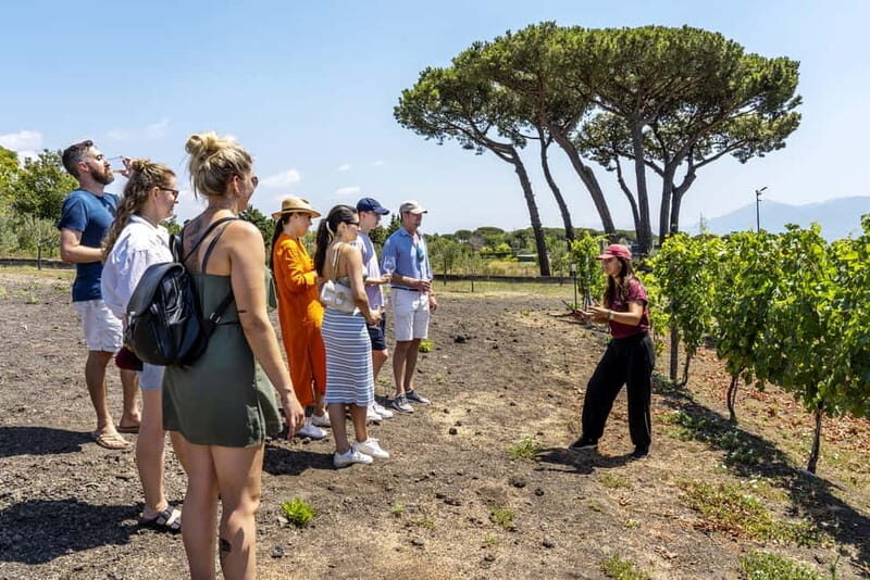 Mount Vesuvius: Vineyards Tour with Wine Tasting and Lunch - Key Points