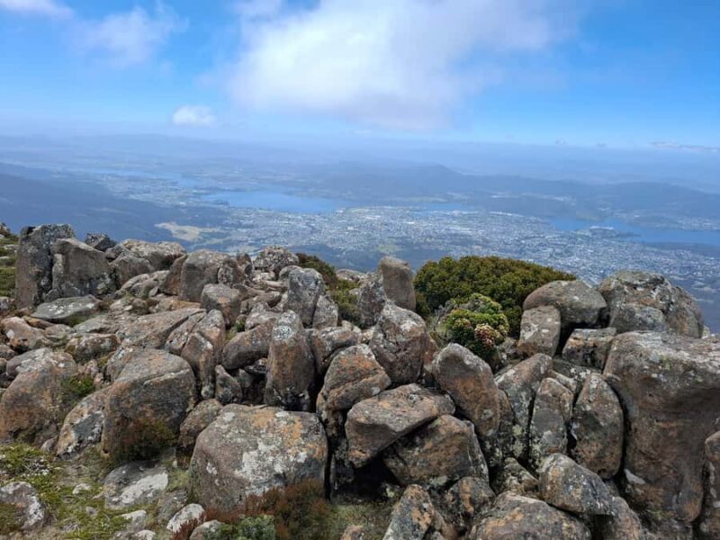 Mount Wellington Shore Excursion - What to Expect from the Tour