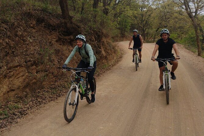 Mountain and city cycling. - Key Points