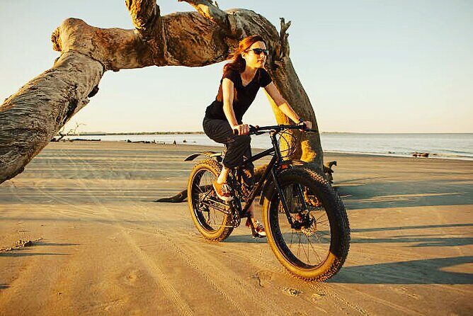 Mountain bike rental in Camargue - Key Points