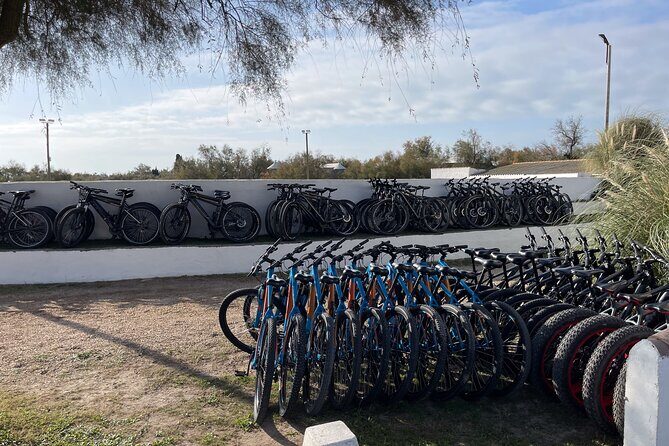 Mountain bike rental in Camargue - The Itinerary in Detail