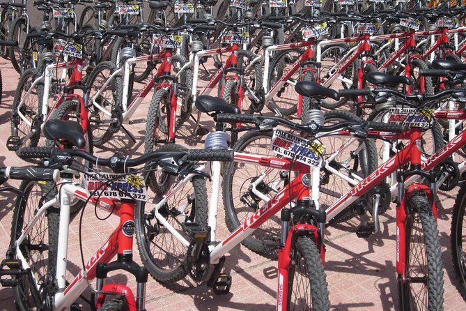 Mountain Bike Rental Tenerife