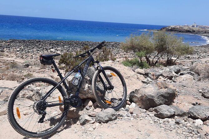 Mountain Bike Rental Tenerife - Who Is This Experience Best For?