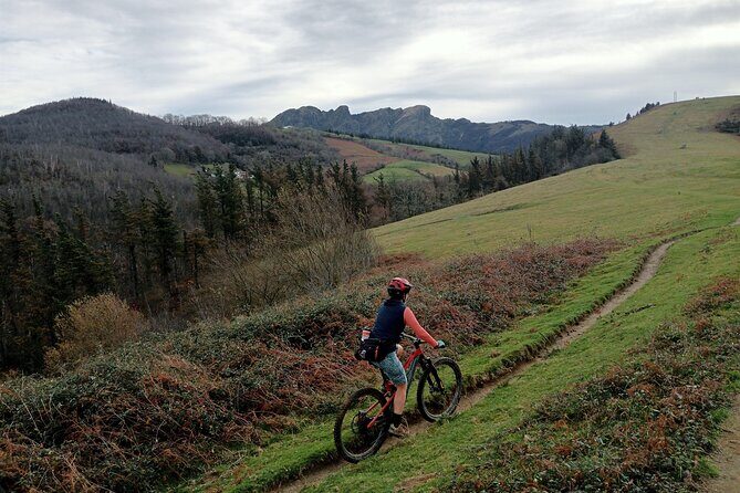 Mountain Bike Small Group Tour in San Sebastian - Key Points