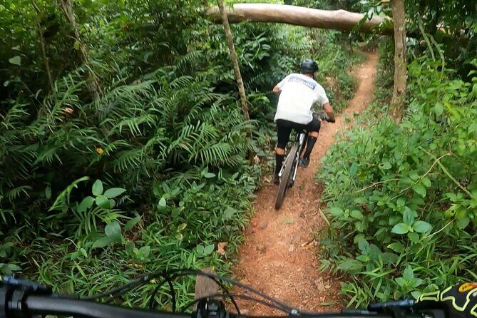 Mountain Bike Tour - Cairns - A Thrilling Ride Through Cairns’ Top Mountain Biking Trails