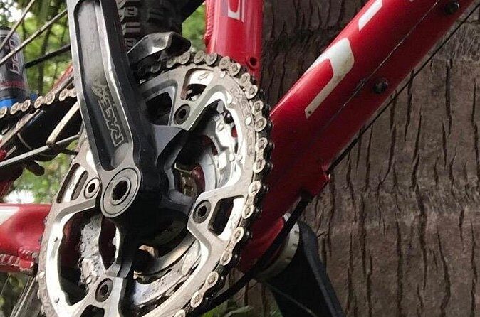 Mountain Bike Tours - Who Will Love This Experience?