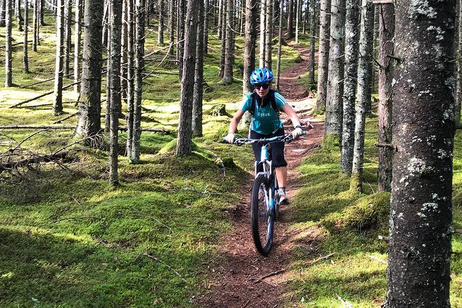 Mountain Bike - Voss Forest - Final Thoughts