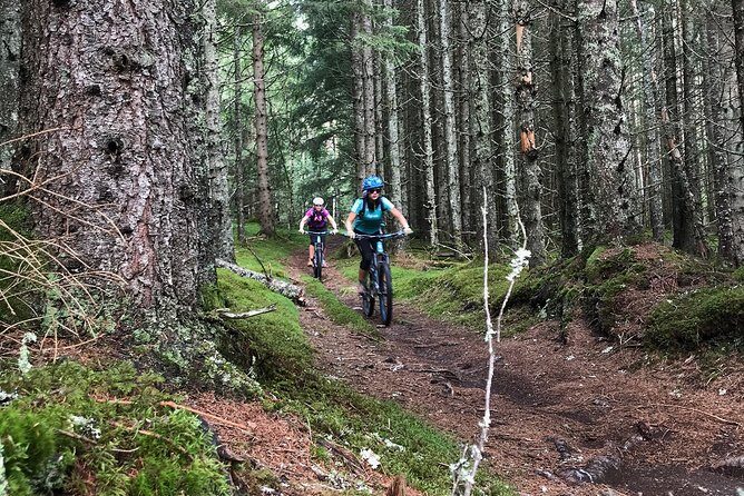 Mountain Bike - Voss Forest - FAQ