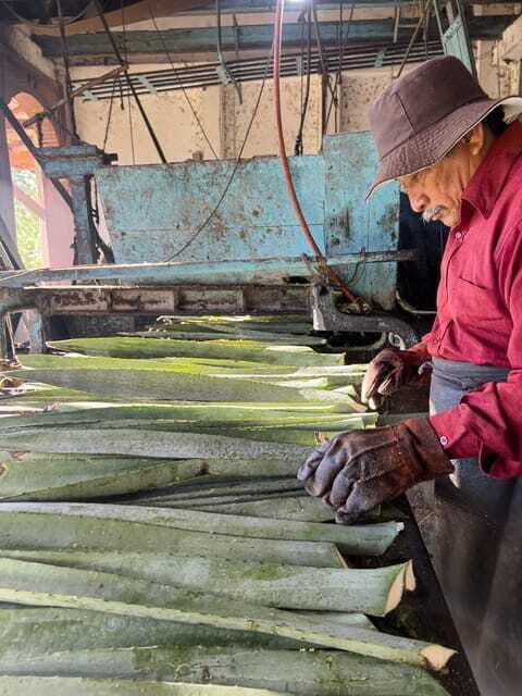 Mountain Biking in the Mayan Jungle / Visit Cenotes / Hacienda - FAQ