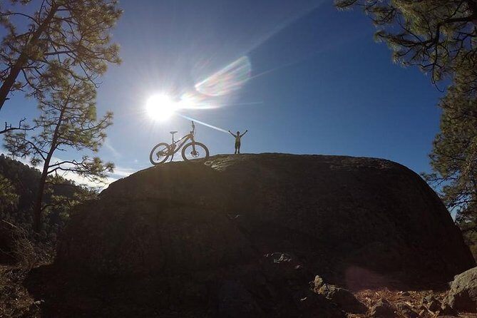 Mountain Biking Tour at La Primavera Forest - Key Points