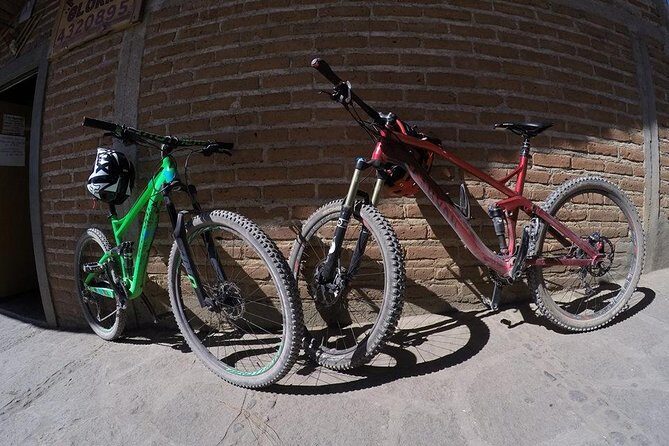 Mountain Biking Tour at La Primavera Forest - The Trails and Terrain