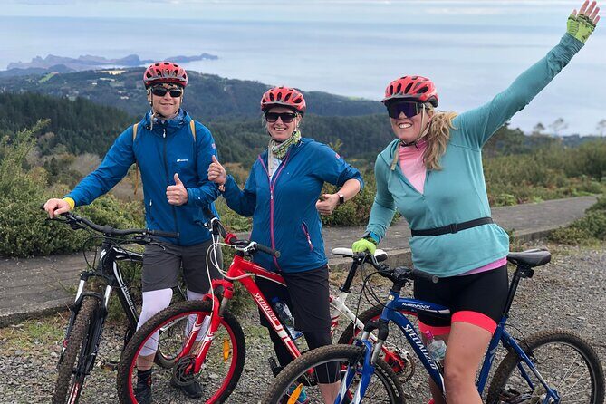 Mountain Biking Tour - Beginner Easy - The Trail Towards Camacha