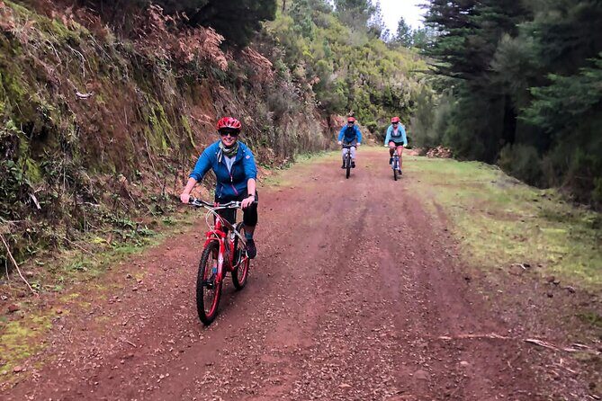 Mountain Biking Tour - Beginner Easy - Practical Considerations