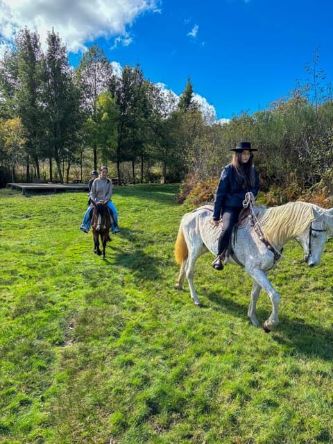 Mountain Horseback Ride & Lunch - Discovering the Douro Valley by Horseback