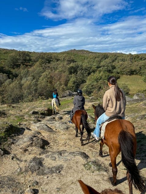 Mountain Horseback Ride & Lunch - The Ride: What You Can Expect
